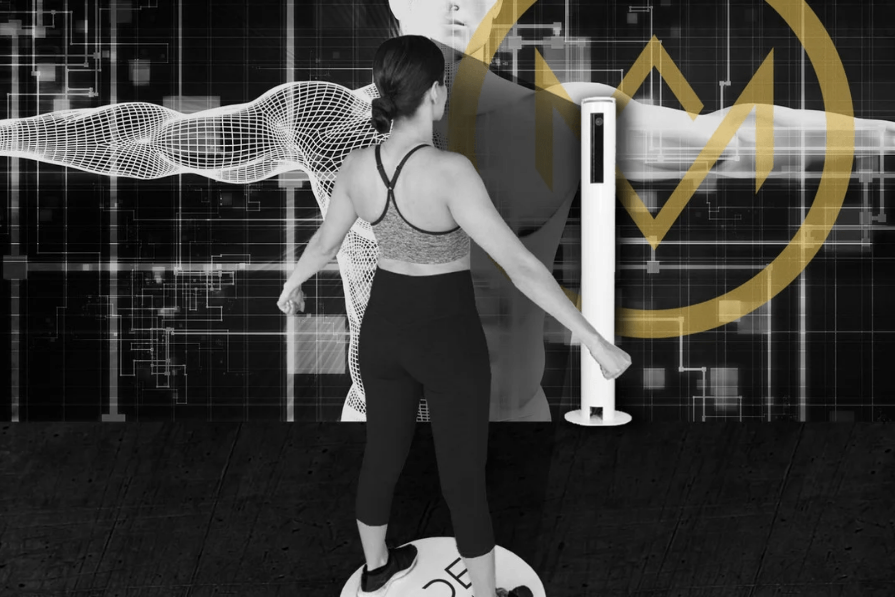 Who Should Be Conducting Fitness Assessments?